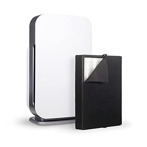 Alen Paralda Air Purifier Review: The Pros and Cons - Thehomeair