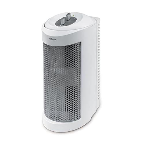 Clean Air on a Budget: A Detailed Review of Holmes HAP9424B-NU Air ...